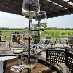 DANCING DRAGONFLY WINERY - Updated April 2025 - 92 Photos & 103 Reviews ...