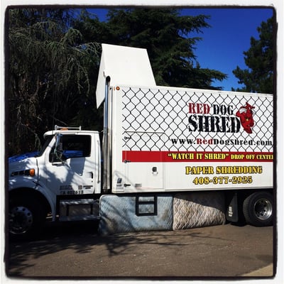 RED DOG SHRED - Updated October 2025 - 32 Photos & 189 Reviews - 14944 ...