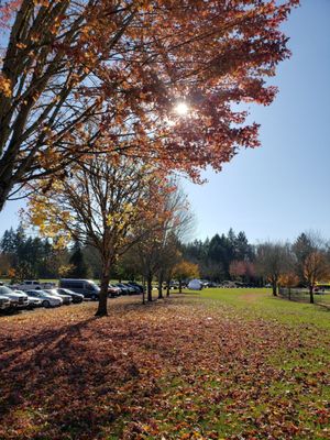 JOE DANCER PARK - Updated December 2025 - 27 Photos - 1650 SE Brooks St ...