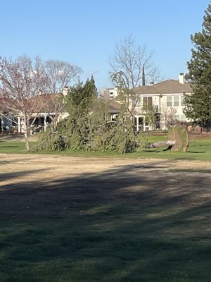 DIAMOND OAKS MUNICIPAL GOLF COURSE - Updated October 2025 - 49 Photos ...