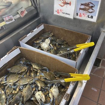 OCEAN SEAFOOD MARKET Updated January 2025 69 Photos 62 Reviews 3835 Chesser Boyer Rd Fort Worth Texas Seafood Restaurant Reviews Phone Number Menu Yelp