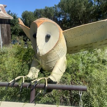 CALIFORNIA RAPTOR CENTER - Updated January 2026 - 58 Photos & 23 ...