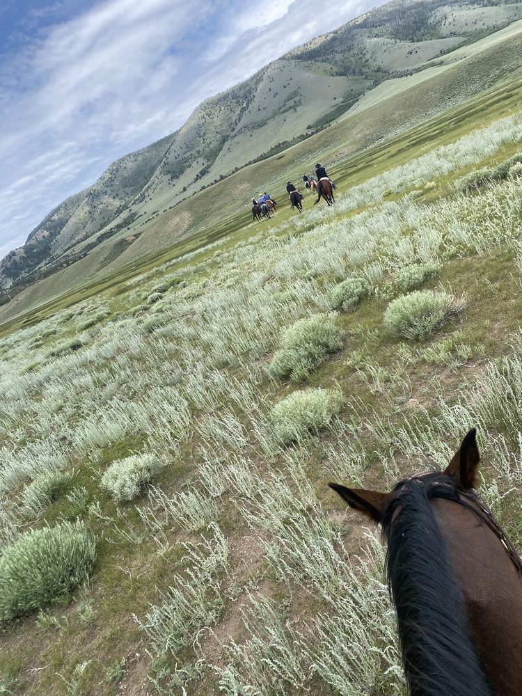 VEE BAR GUEST RANCH - Updated August 2025 - 11 Photos & 11 Reviews - 38 ...