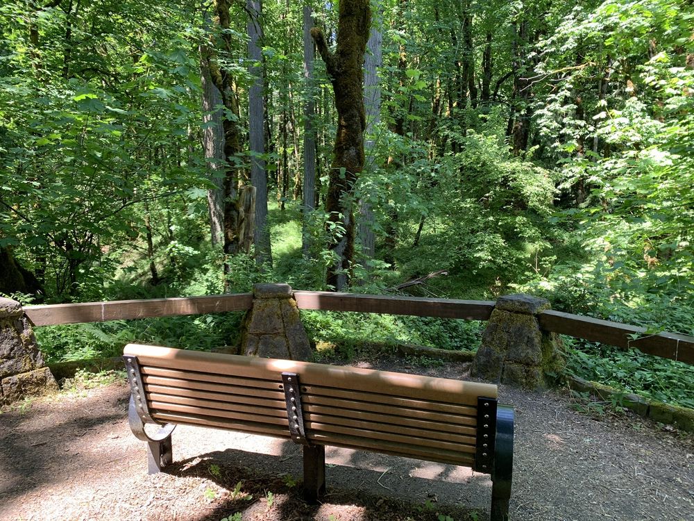 GRAHAM OAKS NATURE PARK - Updated October 2025 - 48 Photos & 17 Reviews ...