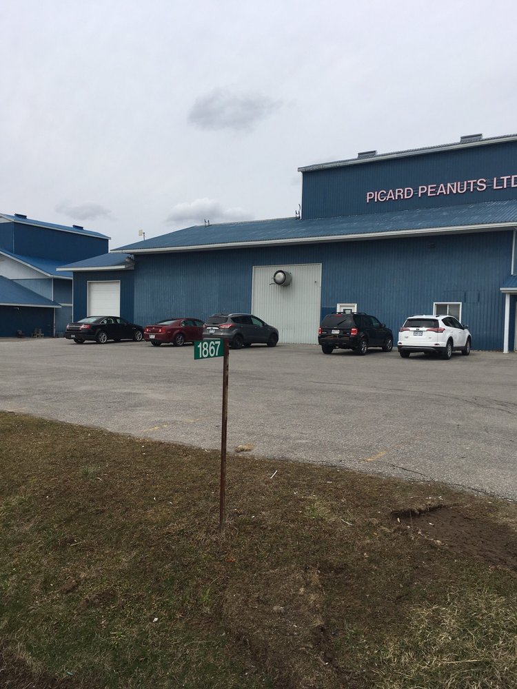 PICARD PEANUTS - Updated December 2025 - 3 miles N of Simcoe on Highway ...