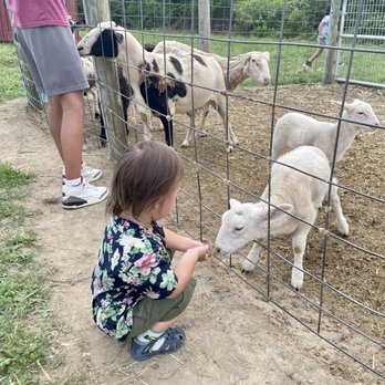 APPLE RIDGE ORCHARDS - Updated December 2025 - 243 Photos & 110 Reviews ...