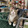 Pet Supplies Plus Cortland