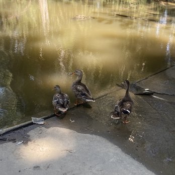 FAIRMOUNT PARK - Updated December 2025 - 591 Photos & 148 Reviews ...