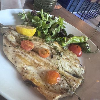 CHEFIKA CAFE MEDITERRANEAN - Updated July 2025 - 229 Photos & 89 ...