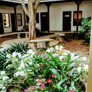 AAA LIVE SCAN - ESCONDIDO - Updated August 2024 - 12 Photos & 13 ...