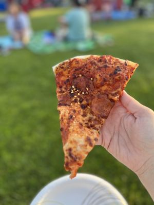 PETER SINGER PARK - Updated December 2025 - 16 Photos - 674 Groveland ...