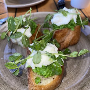 BAR BOCCE - Updated June 2024 - 1123 Photos & 1278 Reviews - 1250 ...