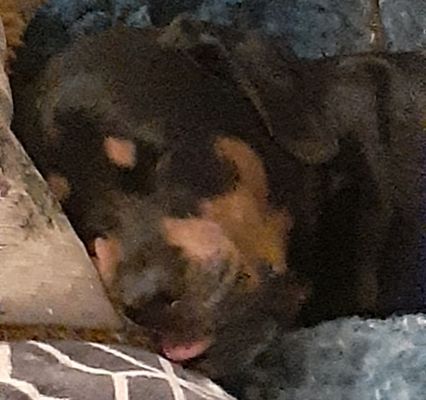 WOODCREST POST ACUTE & REHABILITATION - Updated December 2025 - 30 ...