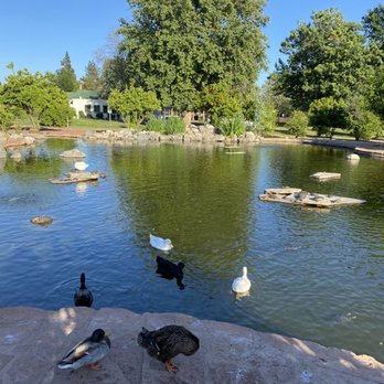 CSUN POND - Updated October 2025 - 337 Photos & 84 Reviews - 18111 ...