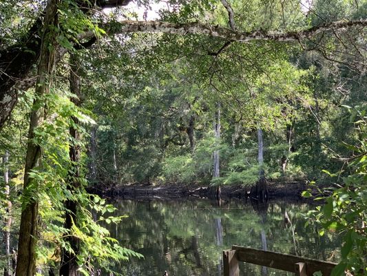 WITHLACOOCHEE RIVER PARK - Updated April 2025 - 88 Photos & 15 Reviews ...