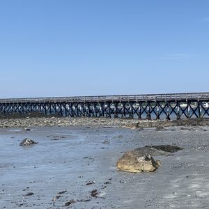 WALLIS SANDS STATE BEACH - Updated June 2025 - 39 Photos & 21 Reviews ...