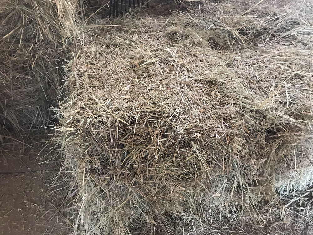 ESH RANCH HAY - Updated December 2025 - 46715 WCR 19, Nunn, Colorado ...