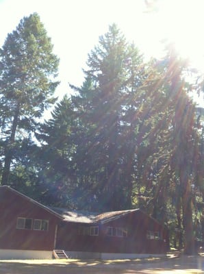 CISPUS LEARNING CENTER - Updated September 2025 - 13 Photos - 2142 ...