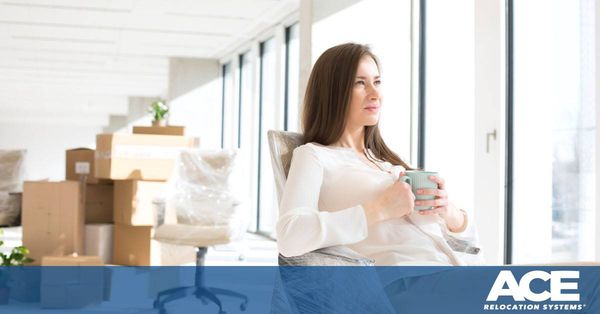 ACE RELOCATION SYSTEMS, INC - Updated June 2024 - 139 Photos & 125 ...