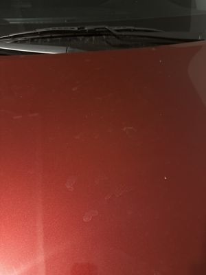 CAMELBACK KIA - Updated January 2026 - 46 Photos & 404 Reviews - 1450 E ...