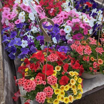 THE HOSTA STOP - Updated May 2024 - 11 Photos - 1011 WI-54 W, Plover ...