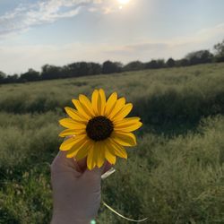 PRAIRIE STAR RANCH - 11 Photos - 1124 California Rd, Williamsburg, KS ...