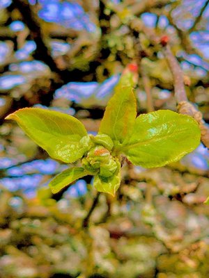 HAMILTON VIEWPOINT PARK - 150 Photos & 38 Reviews - 1120 California Way ...