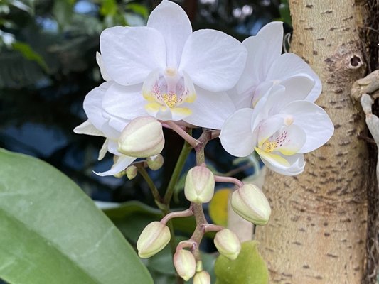 ROGER WILLIAMS PARK BOTANICAL CENTER - 213 Photos & 38 Reviews - 1000 ...