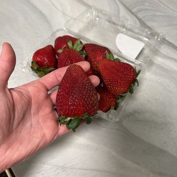 TERRY BERRIES - Updated June 2025 - 28 Photos & 50 Reviews - 7618 ...