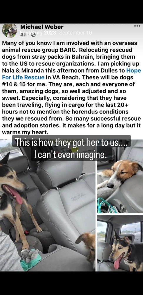 HOPE FOR LIFE RESCUE - Updated February 2025 - 28 Photos & 56 Reviews ...