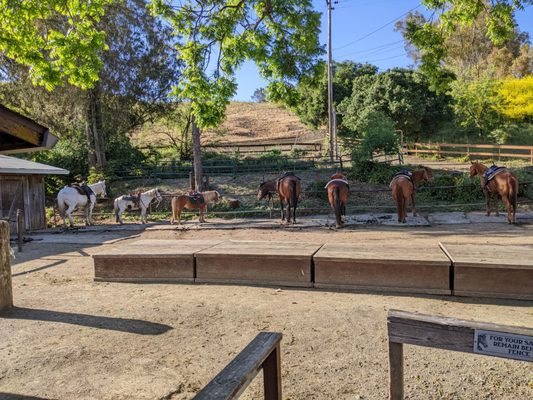 GARROD FARMS RIDING STABLES - Updated May 2026 - 221 Photos & 235 ...