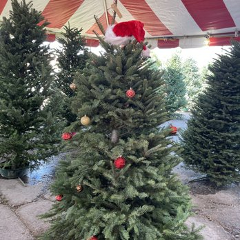 MOON VALLEY NURSERIES - Updated May 2024 - 532 Photos & 526 Reviews ...