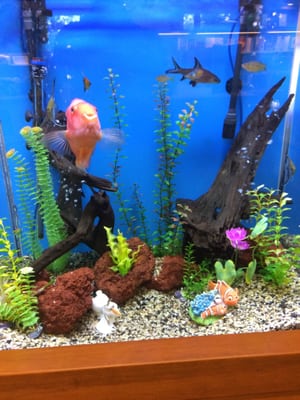 WYCKOFF LIBRARY - Updated December 2025 - 200 Woodland Ave, Wyckoff ...