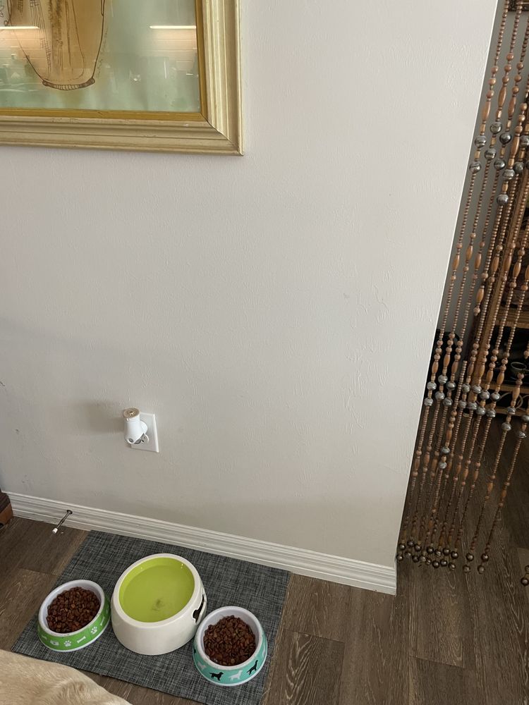 SCARY CLEAN - Updated July 2025 - Request a Quote - 13 Photos - Cape ...