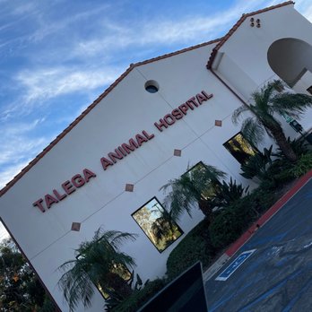 TALEGA ANIMAL HOSPITAL - Updated August 2025 - 37 Photos & 109 Reviews ...