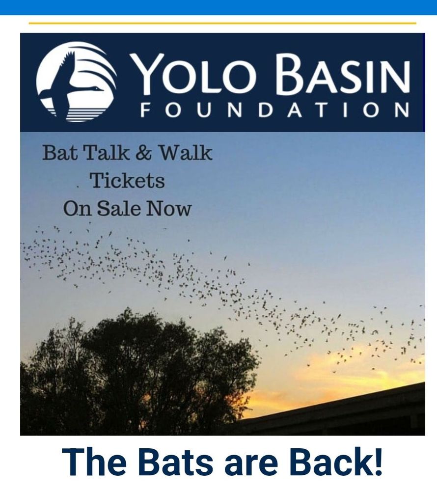 YOLO BASIN FOUNDATION - Updated August 2025 - 27 Photos & 11 Reviews ...
