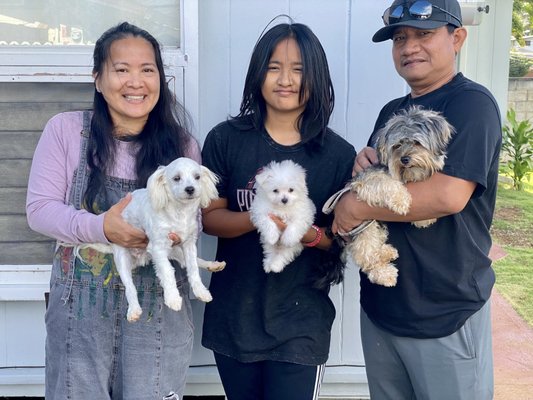 OAHU_PUPPIES - 211 Photos & 17 Reviews - Kaneohe, Hawaii - Pet Breeders ...