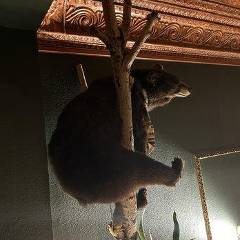 FERAL KITCHEN & LOUNGE - Updated June 2025 - 123 Photos & 48 Reviews ...