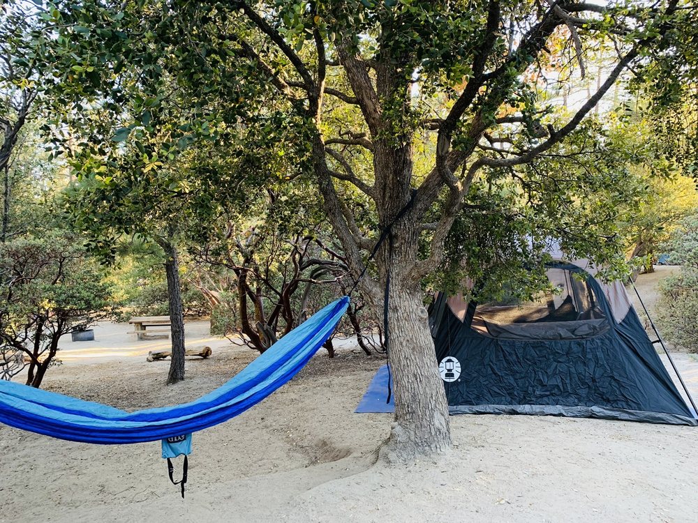 SAN JACINTO STATE PARK IDYLLWILD CAMPGROUND - Updated January 2025 - 34 ...