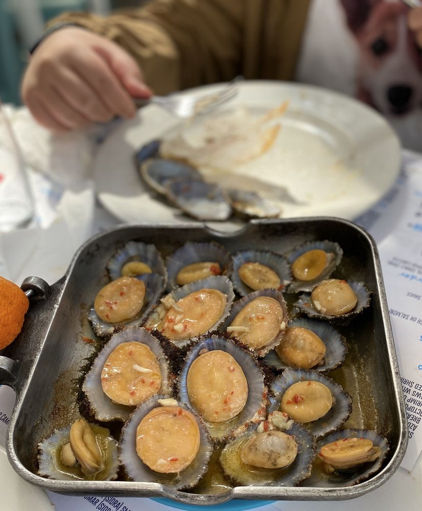 BAR CALOURA - Updated October 2025 - 133 Photos & 68 Reviews - R. da ...