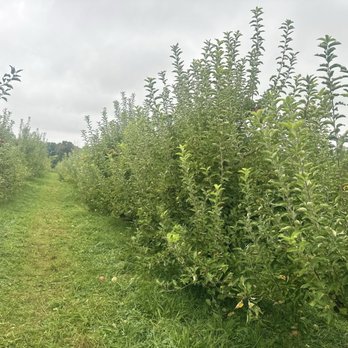 MASKER ORCHARDS - Updated December 2025 - 393 Photos & 236 Reviews - 45 ...