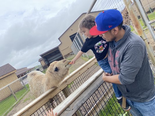 BOULDER RIDGE WILD ANIMAL PARK - Updated October 2024 - 142 Photos & 57 ...