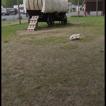 FAWN DOE ROSA - Updated October 2025 - 137 Photos & 45 Reviews - 2131 ...