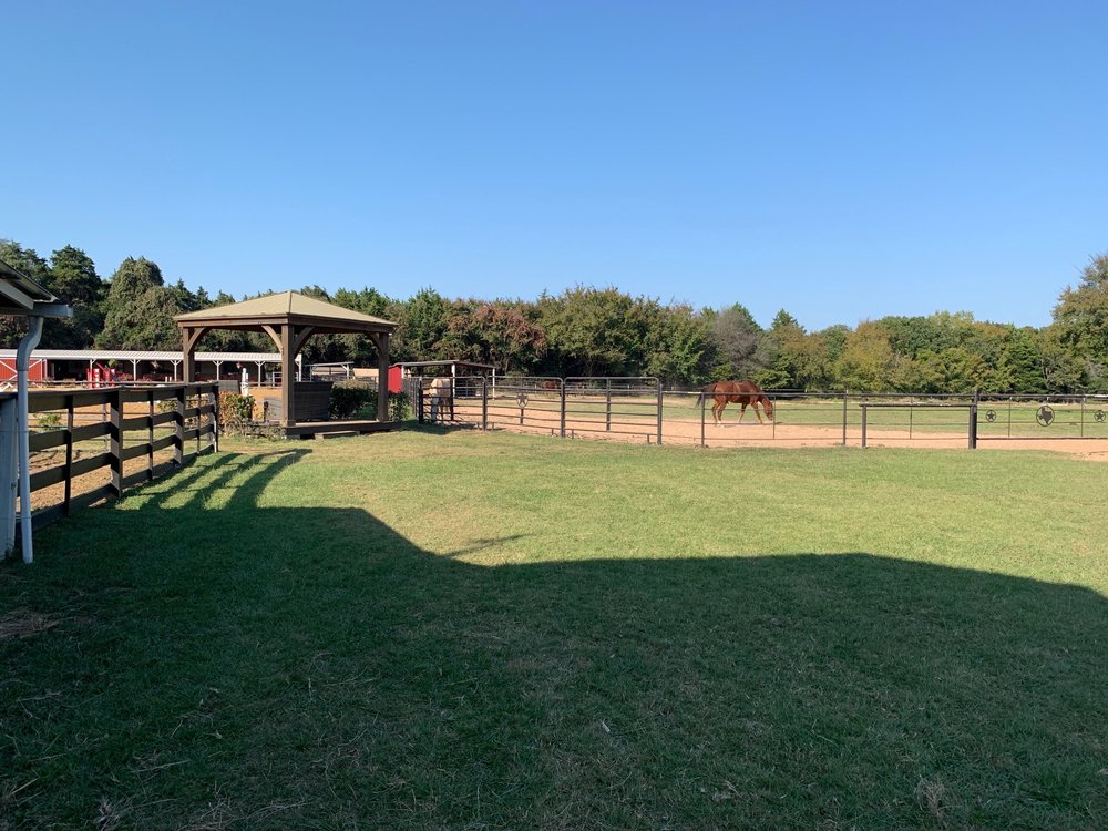 TRINITY FOREST STABLES - Updated December 2025 - 1861 Muleshoe Rd ...