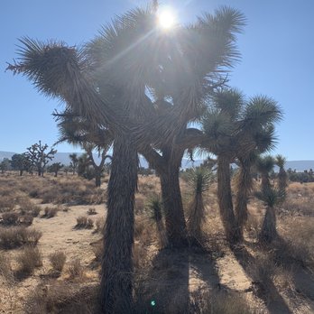 PRIME DESERT WOODLAND PRESERVE - Updated January 2026 - 211 Photos & 62 ...