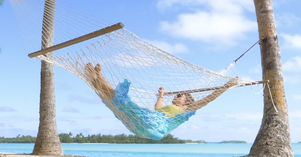 HAWAII PANDA TOURS - 802 Prospect St 601, Honolulu, Hawaii - Bus Tours ...