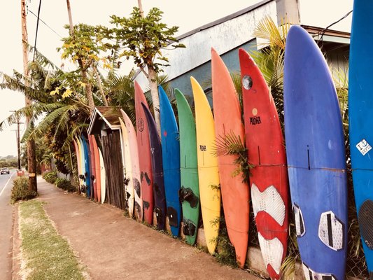 ALOHA SURF HOSTEL - Updated July 2025 - 89 Photos & 36 Reviews - 221 ...