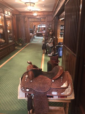 DUE PROCESS STABLE - Updated October 2025 - 264 County Road 537 E ...