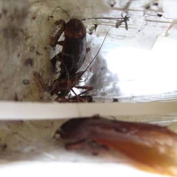 CLARIDGE HOUSE COOPERATIVE - Updated December 2025 - 12 Photos & 23 ...