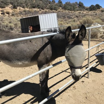 ANGELES CREST CREAMERY - Updated December 2025 - 54 Photos & 14 Reviews ...